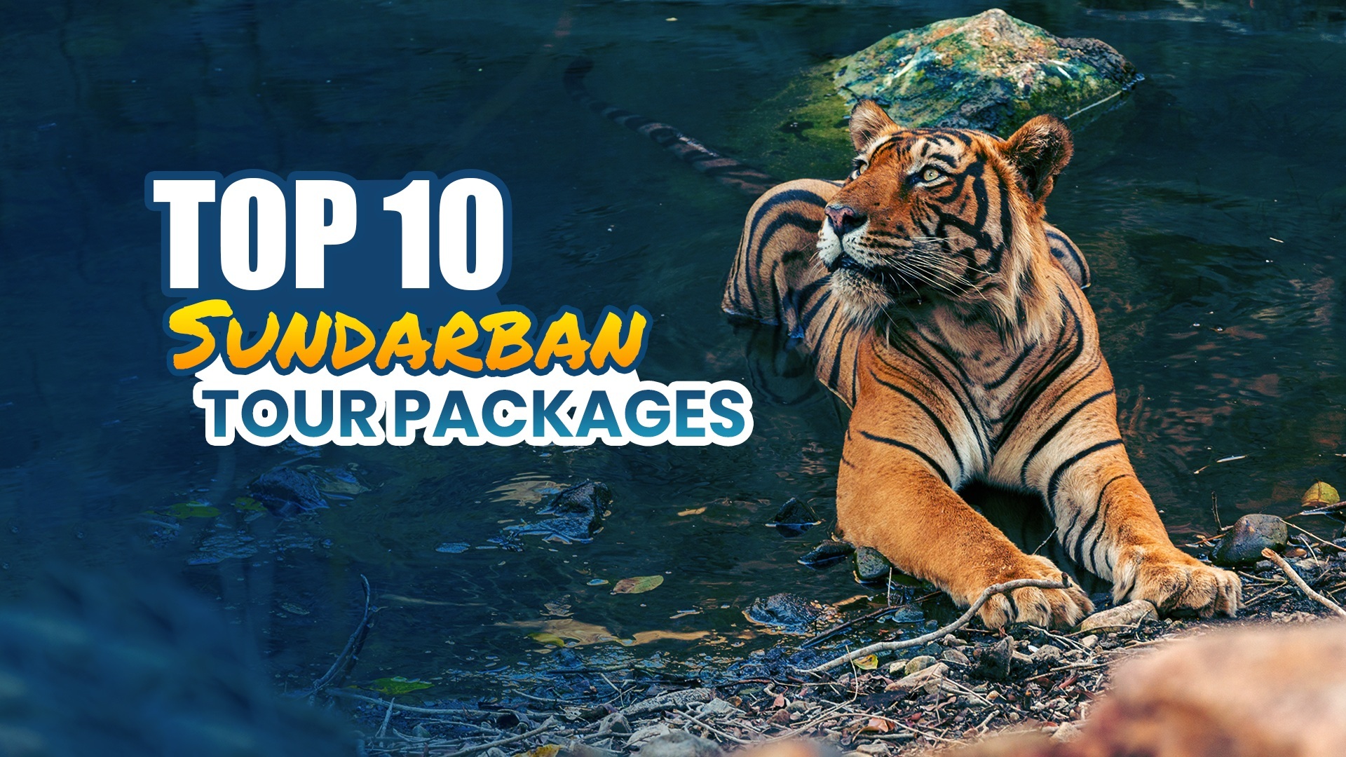 Top 10 Sundarban Tour Packages for 2025 - Pirates of the Sundarban